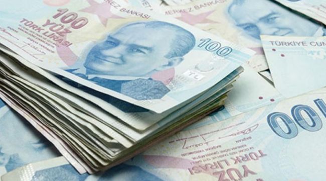 Yeni 100 TL'ler tedavüle çıkıyor - Ekonomi - AYKIRI haber sitesi