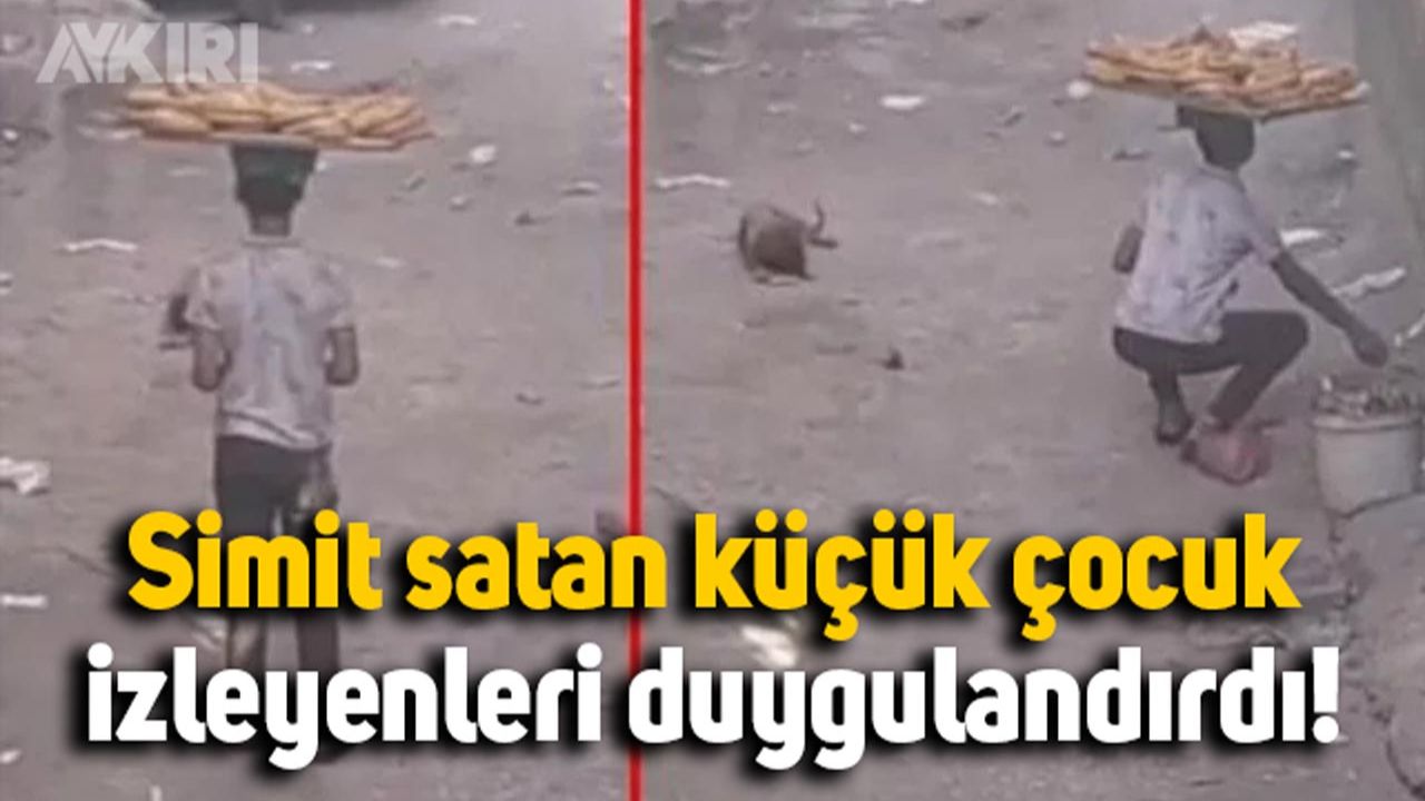 Simit satan küçük çocuğun köpeğe simit verdiği anlar izleyenleri ...