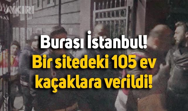 İstanbul'da bir sitede 105 ev kaçaklara verildi: İstanbul'da bir sitede 105 ev kaçaklara verildi: